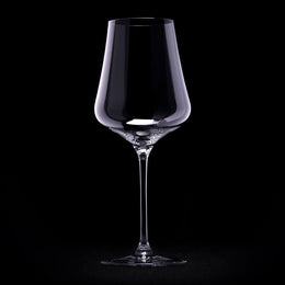 StandArt Universal Wine Glass - Gabriel-Glas